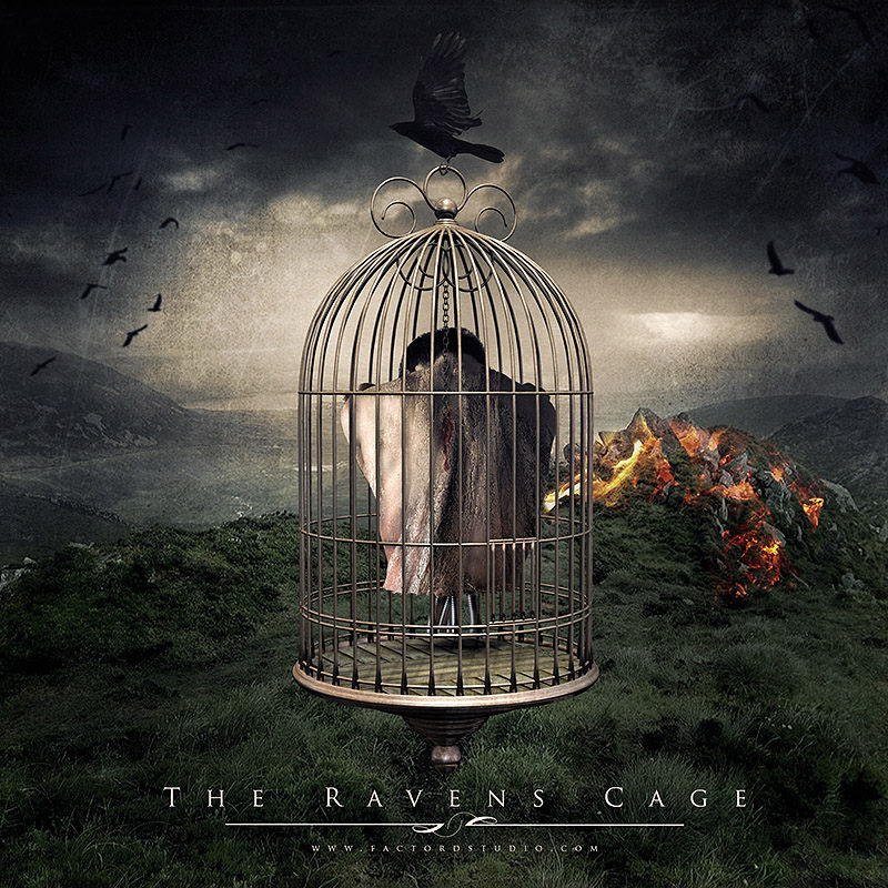 Factor D Studio – Graphic & Web Design, Multimedia, Photography